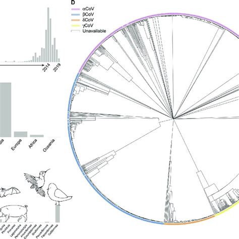 Whole Genome Nucleotide Sequences And Phylogeny Of Global Covs Download Scientific Diagram