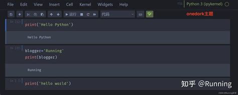 Jupyter使用详解 知乎