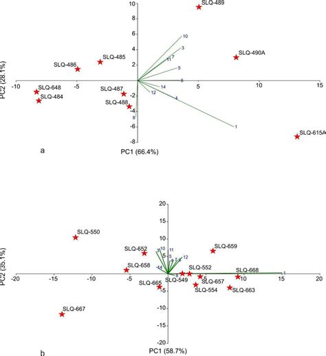 Figure S3 Principal Component Analysis Of The Third Metacarpals A Download Scientific