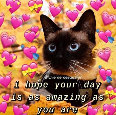 36 Wholesome Supportive Memes To Send To Loved Ones Artofit