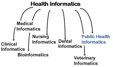 Health Informatics Hit Wiki Fandom Powered By Wikia