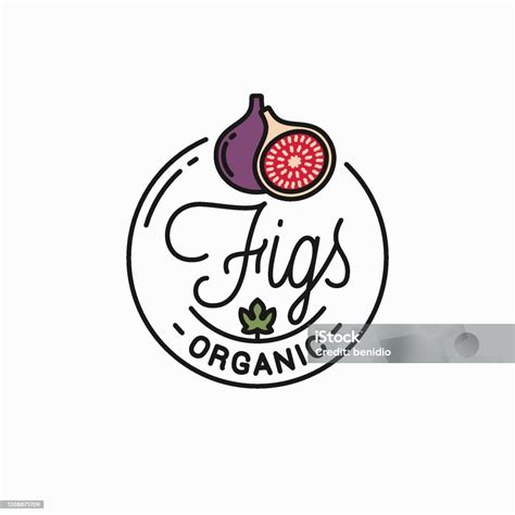 무화과 과일 디자인입니다 흰색 배경에 무화과 슬라이스의 둥근 선형 0명에 대한 스톡 벡터 아트 및 기타 이미지 0명 건강한