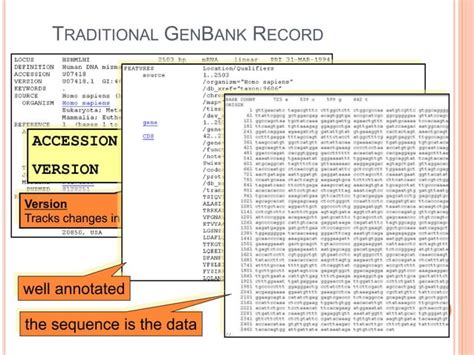 Introduction To Biological Databases Ppt