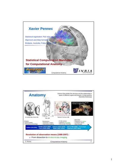 Pdf Anatomy Inria · 3 X Pennec Computational Anatomy 5 Modeling And Image Analysis A