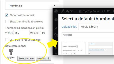 New In 47 Default Thumbnail Tiptop Press