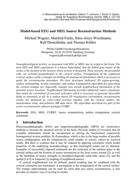 Pdf Model Based Eeg And Meg Source Reconstruction Methods