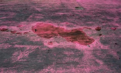 Premium Photo Small Puddle On A Pink Floor