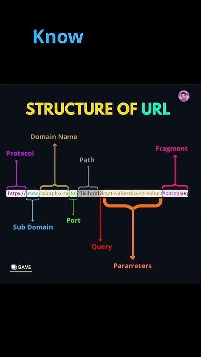Structure Of Url 💯 Shorts Programming Coding Knowprogram Youtube