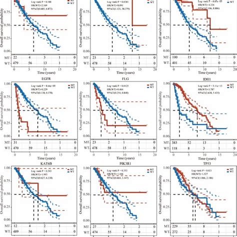 Prognostic Analysis Of Nine Mutated Genes In Mutant And Wild Type Download Scientific Diagram