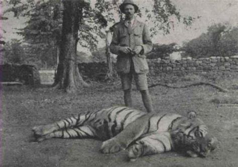 The Champawat Tiger Killed Over 400 People Until She Met A British