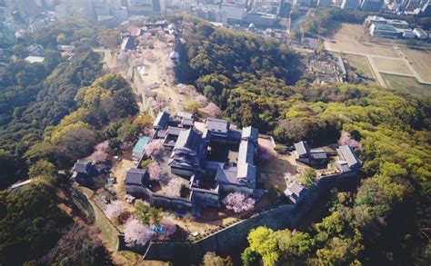 About Matsuyama Castle Matsuyama Castle