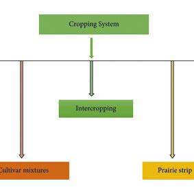 Different Types Of Cropping System Download Scientific Diagram