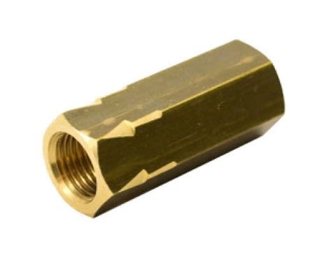 Spring Check Valve Female Brass Pneumatic RITM Industry