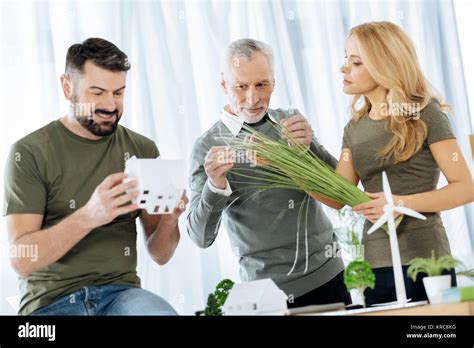 curious cheerful engineers touching beautiful synthetic grass stock