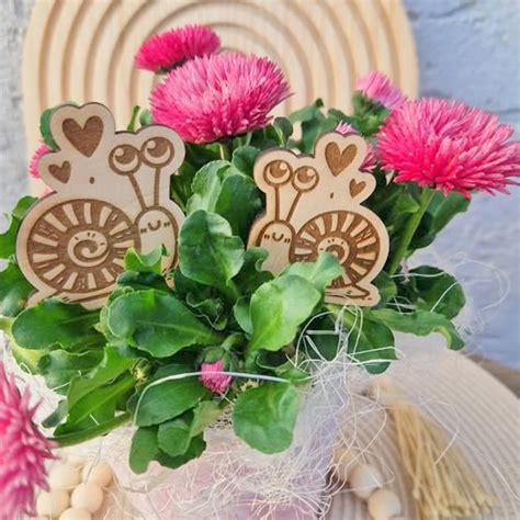 Schnecke Laser Plotter Markenelfe