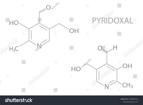 Pyridoxal Molecular Skeletal Chemical Formula Stock Vector Royalty Free 2169559723 Shutterstock
