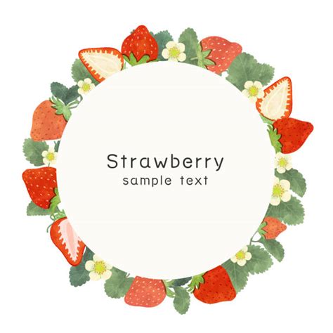 730개 이상의 딸기밭 일러스트 스톡 사진 그림 및 Royalty Free 이미지 Istock