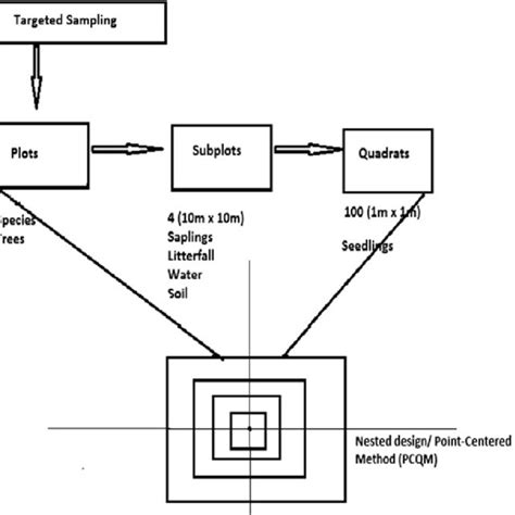 Schematic Sampling Design Showing The Methodology Used For The Study Download Scientific