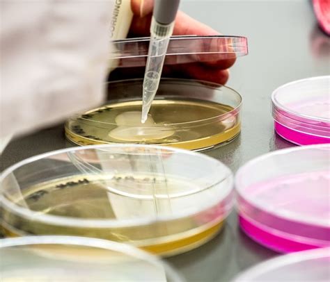 Accelerated Shelf Life Testing