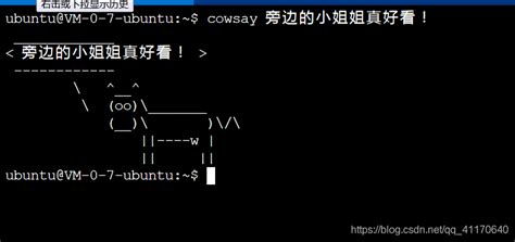 linux中非常有趣的代码 linux好玩的代码 csdn博客