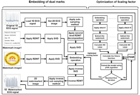 Proposed Framework For Embedding In Ecg Signal Based On Rdwt Svd And Download Scientific