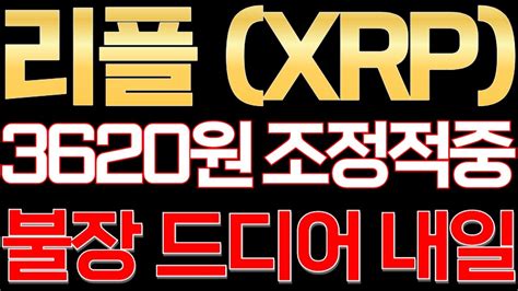 리플 폭락 속지마세요 이제 시작입니다 곧 신규상장할 이종목 최소 300 🔥 리플코인 비트코인 도지코인 스텔라루멘