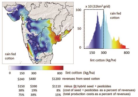 A Regional Bioeconomic Summary Of Simulated Average Rainfed Bt Cotton Download Scientific