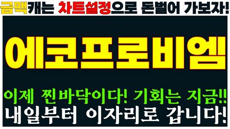 에코프로비엠 주식 나만 알고 있었는데차트설정 이대로만 해보세요 돈 들어옴 에코프로비엠차트분석 에코프로비엠전략