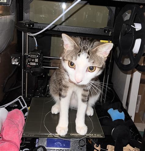 Major Layer Shift Issue R3dprinting