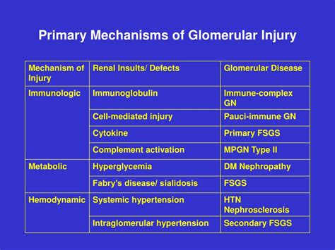 Ppt Glomerular Diseases Powerpoint Presentation Free Download Id