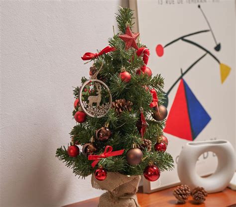 크리스마스 트리의 기원을 살펴볼까요