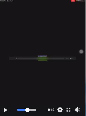 View Live Video View Is Showing Too Small In IPad Screen Issue