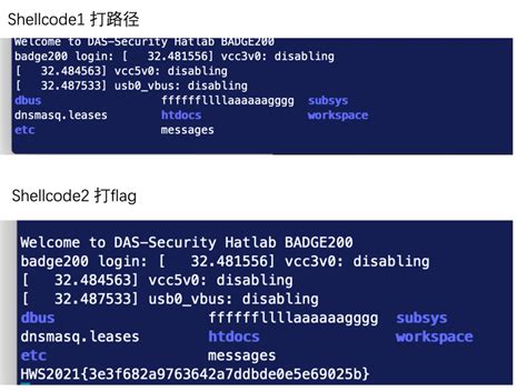 HWS 2021 结营赛 Pwn Clang裁缝店