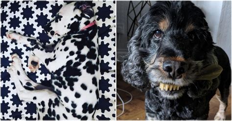 Dama Bg Любимият сайт на всяка дама