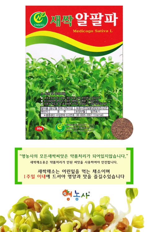 식물 새싹 알팔파씨앗30g 씨앗 오늘의집 쇼핑