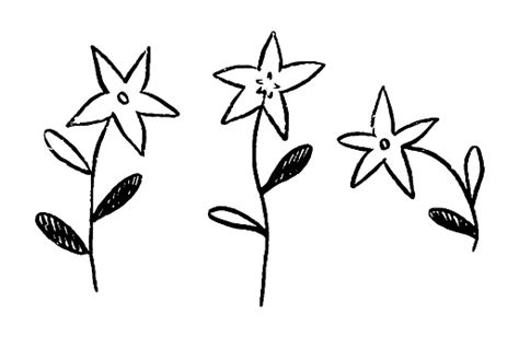 간단한 벡터 손 그린 일러스트 레이션 세트 귀여운 봄 야생화 흰색 배경에 격리된 등고선 도면 컬렉션입니다 그래픽 낙서 스케치 디자인 인쇄 등을위한 원시 스타일의 사진 0명에