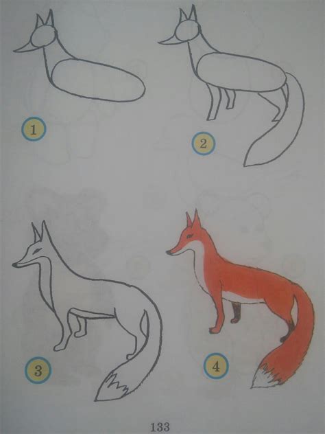 Схема нарисовать лису