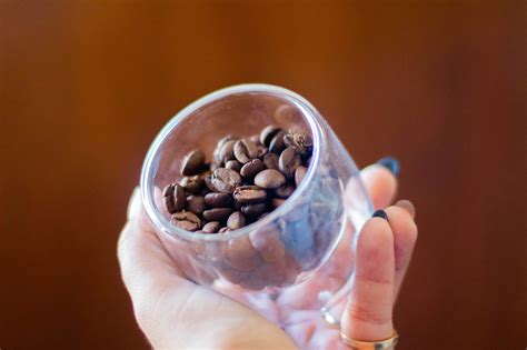 커피 원두의 종류와 맛 프로파일 설명