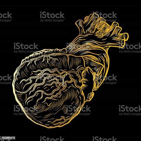 골드 해부학 인간의 마음 포스터 개념 장소 카드 디자인 손으로 그린 육체 문신 아이디어 인사말 카드 티셔츠 패션에 대 한 벡터 건강관리와 의술에 대한 스톡 벡터 아트 및