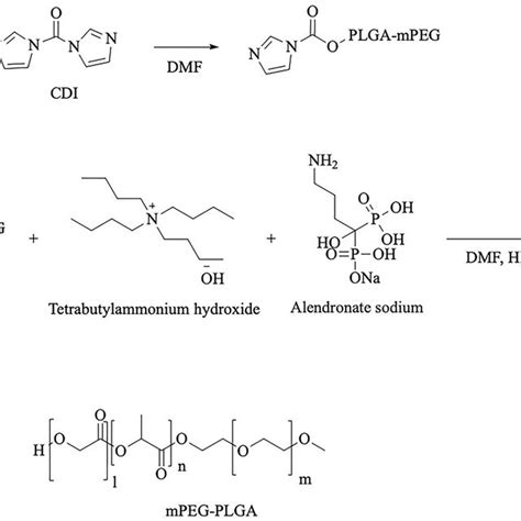 The Structural Formula Of Mpeg Plga And The Synthetic Route Of Download Scientific Diagram