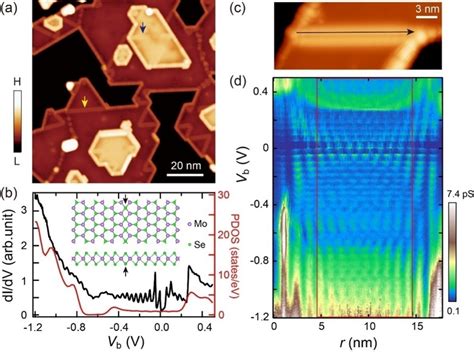 A Hubbard Type Coulomb Blockade Effect Is Discovered In The Mirror Twin Boundary Of Mose2 The