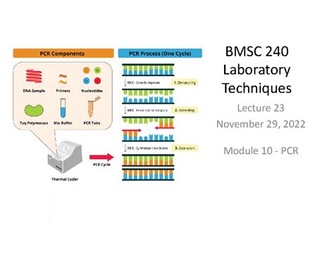240 l23 lecture notes bmsc 240 laboratory techniques lecture 23