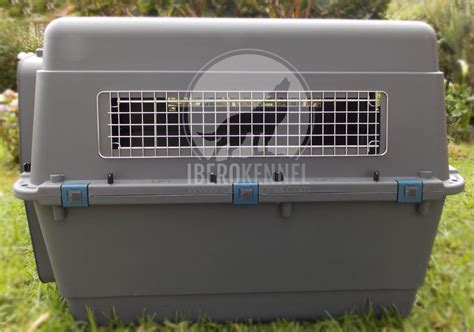 Guacales Para Perros Grandes Talla Xxl 500 Import Iberokennel