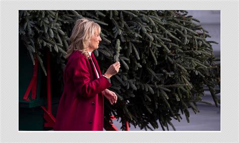 Was Jill Biden Present At White House Christmas Tree Arrival