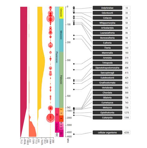 Solved Using The Get An Evolutionary Timeline For A Taxon