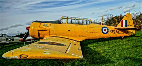 T 6 Texan Jigsaw Puzzle