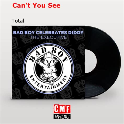 La Historia Y El Significado De La Canción Cant You See Total