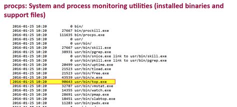 Cygwin Cant Find The Top Command Super User
