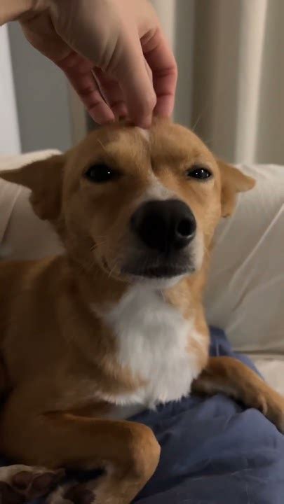 서로 다른 극락 포인트🤤 금이야옥이야 Youtube