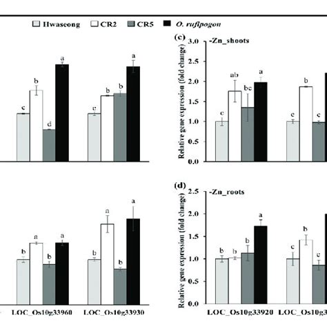 Quantitative Real Time Pcr Analysis Of The Four Candidate Genes Download Scientific Diagram